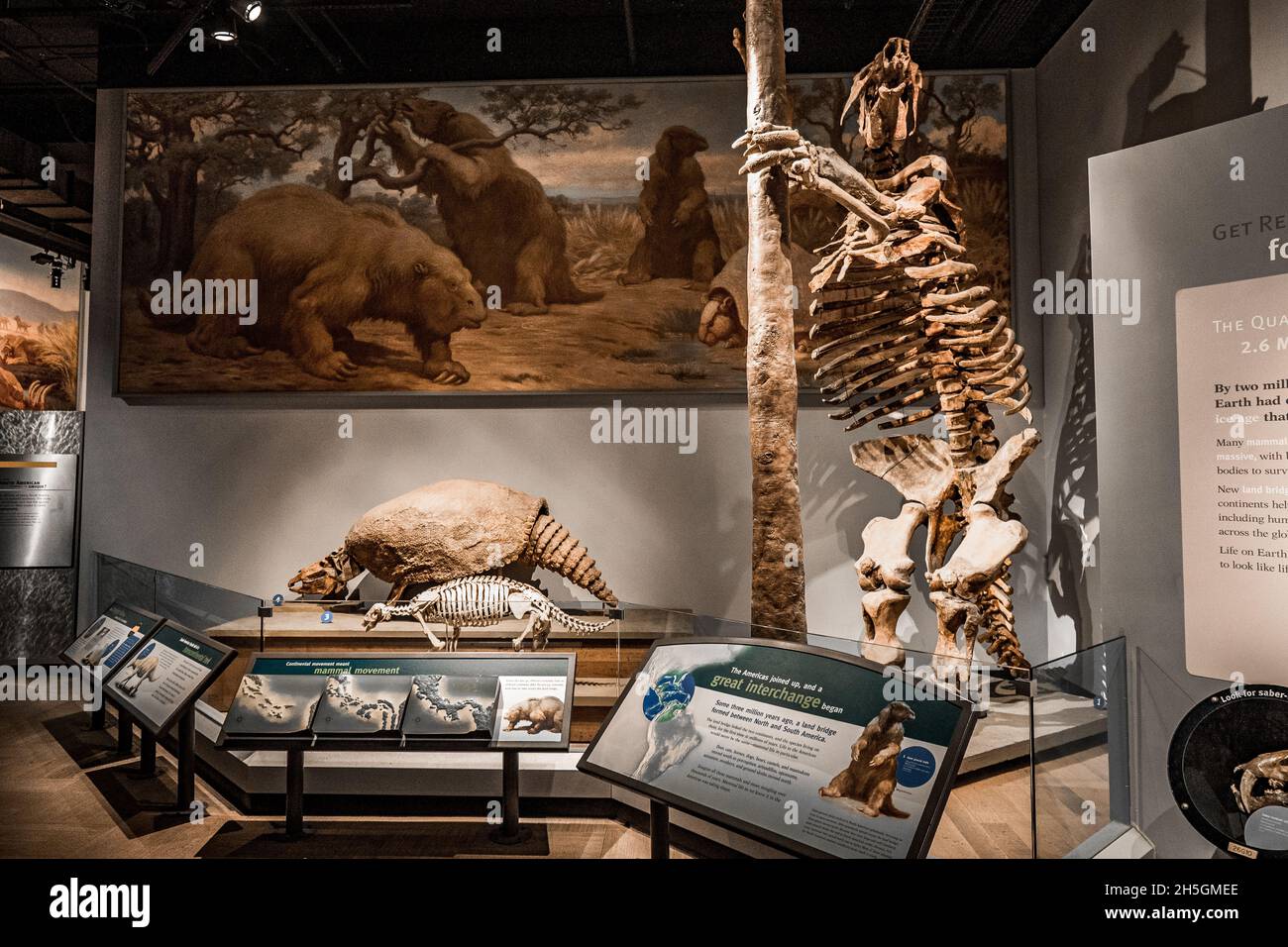 Field museum evolving planet hi-res stock photography and images - Alamy