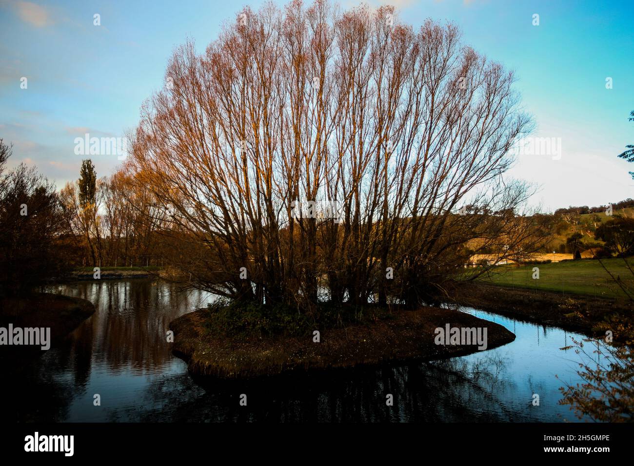 Countrynsw hi-res stock photography and images - Alamy