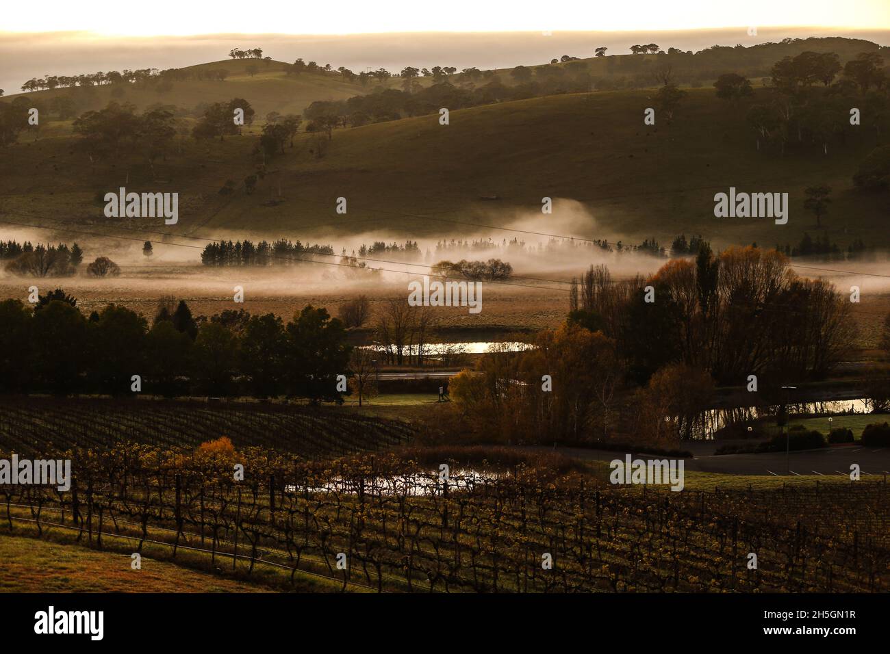 Nswwineries hi-res stock photography and images - Alamy