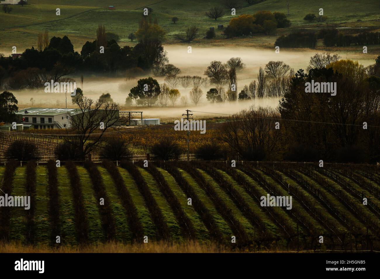 Visitorange hi-res stock photography and images - Alamy