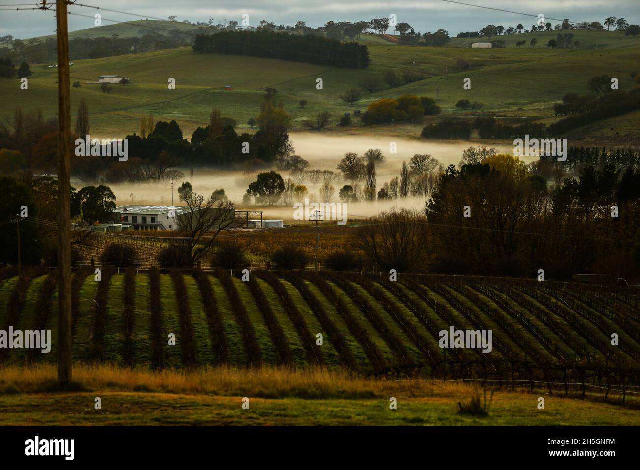 Visitorange hi-res stock photography and images - Alamy