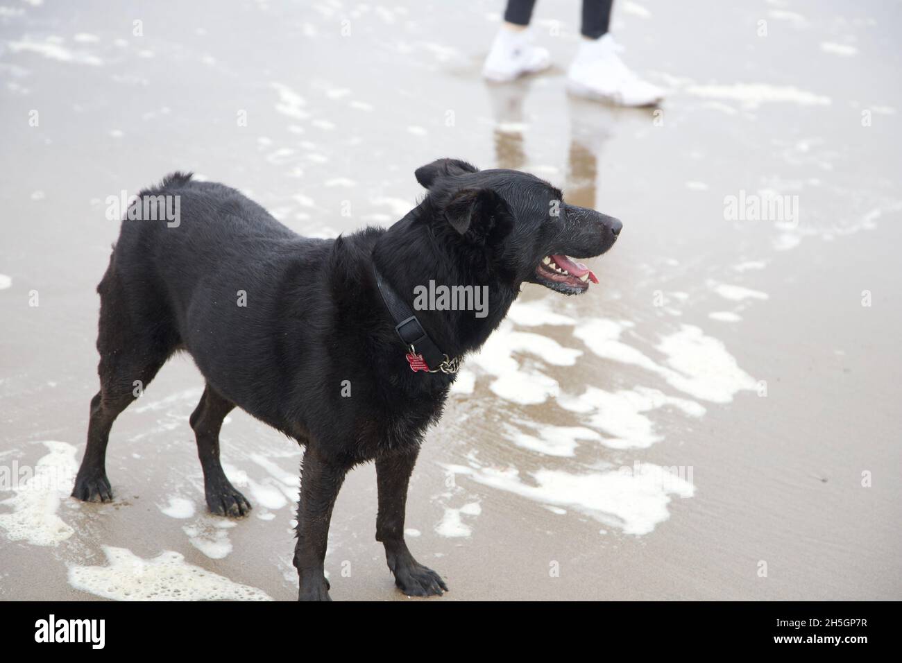 Cross sea waves beach hi-res stock photography and images - Alamy