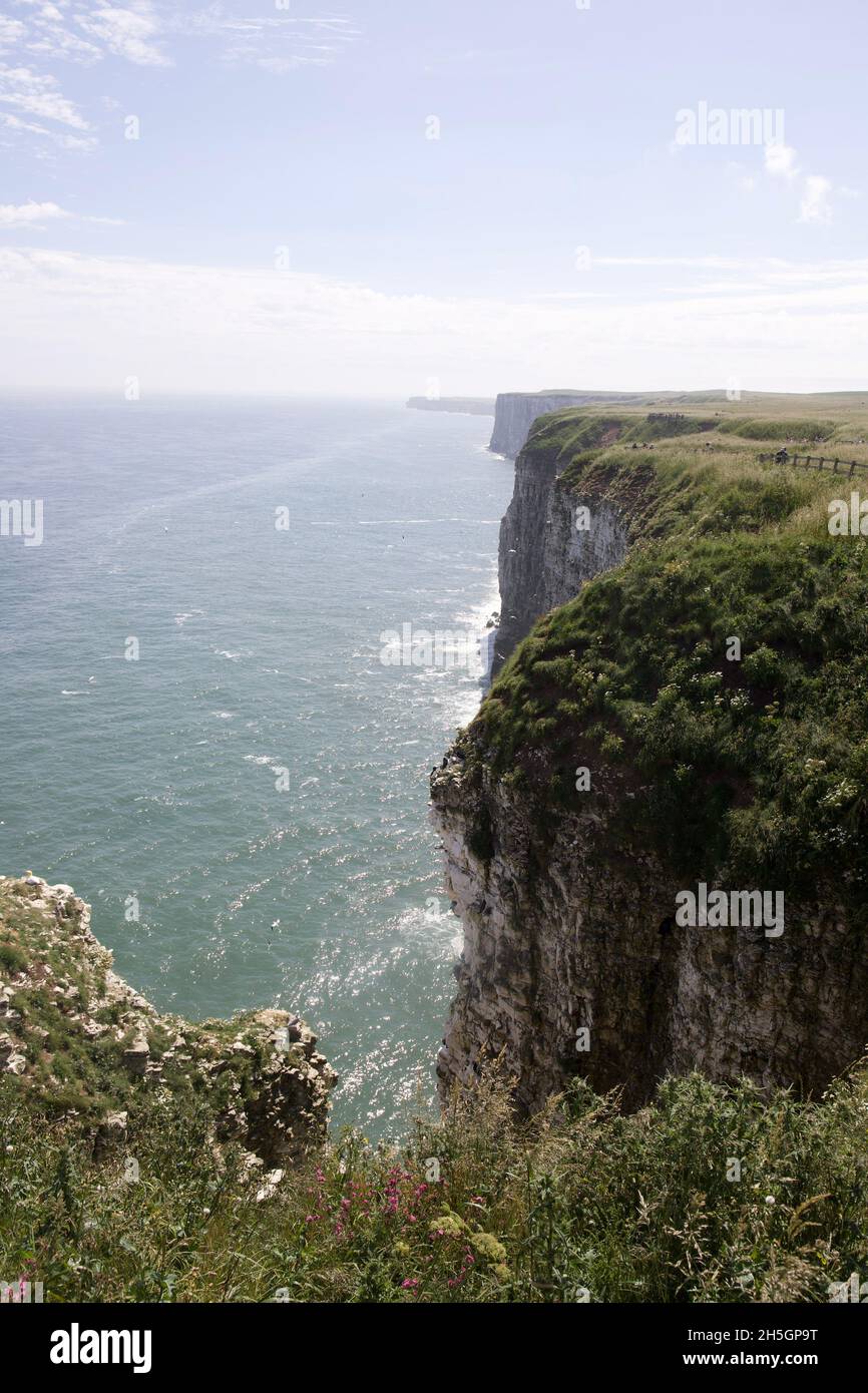 Cliffside nest hi-res stock photography and images - Alamy