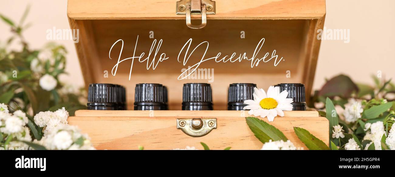 Hello December Cover Photo