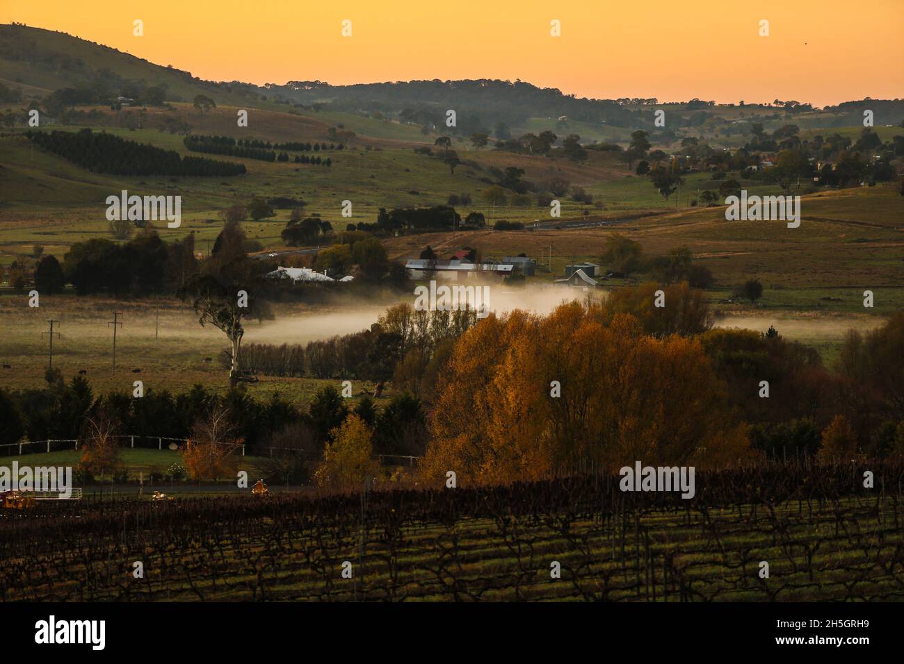 Orange nsw hi-res stock photography and images - Alamy
