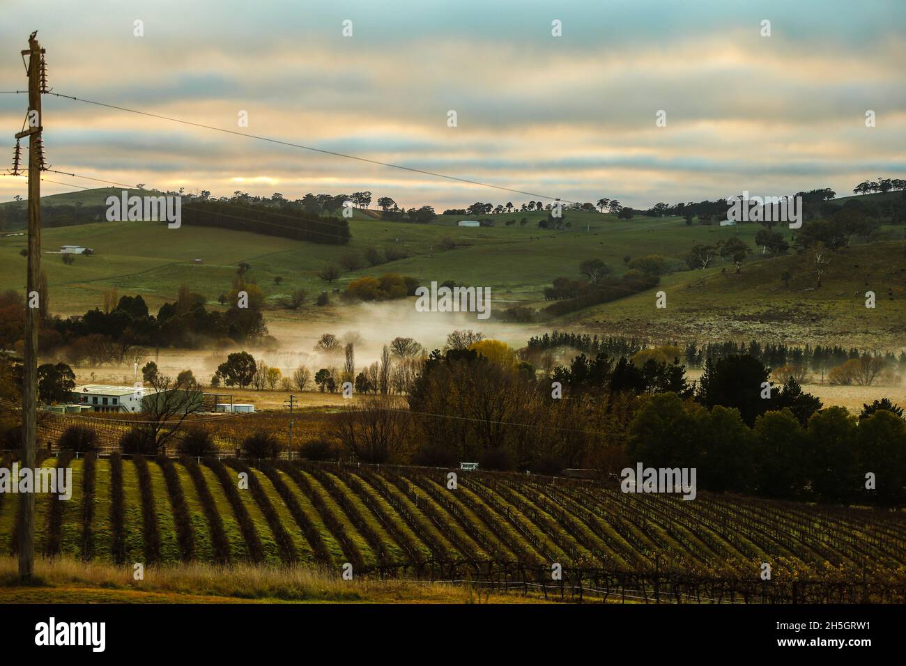 Visitorange hi-res stock photography and images - Alamy