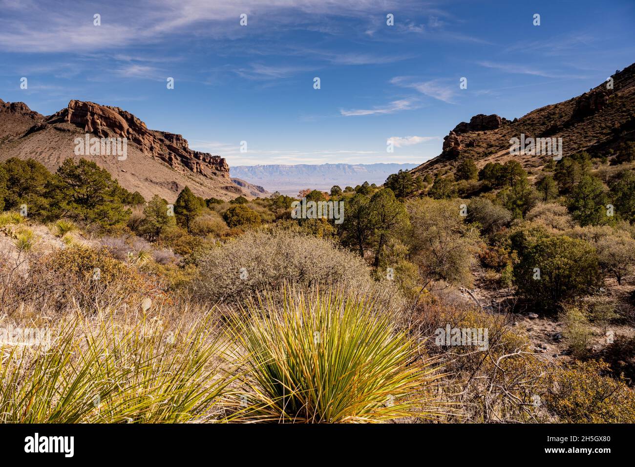 Texas geology detail hi-res stock photography and images - Alamy
