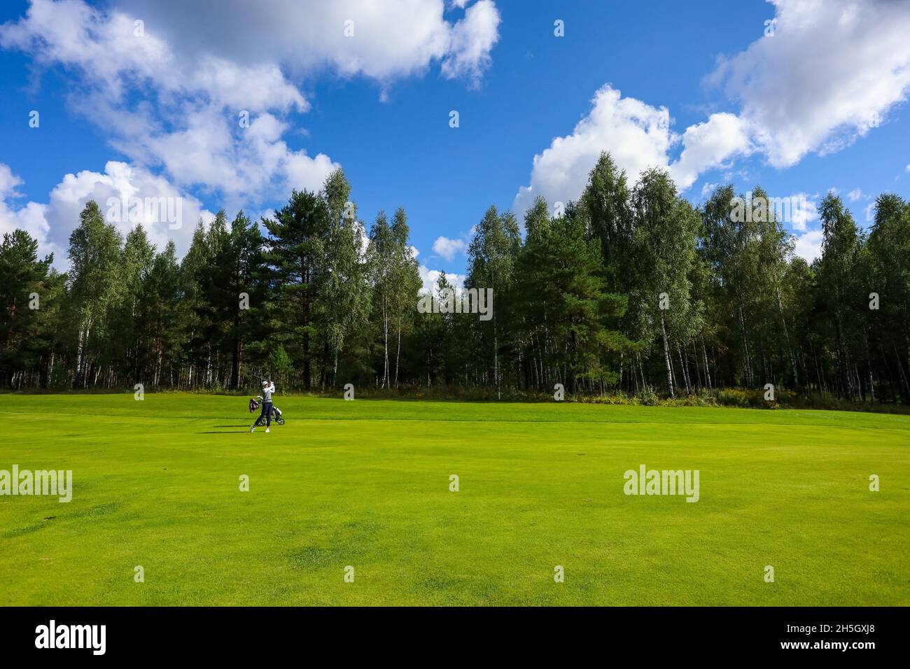 Landscape, golf course,, green grass on the background of the forest ...