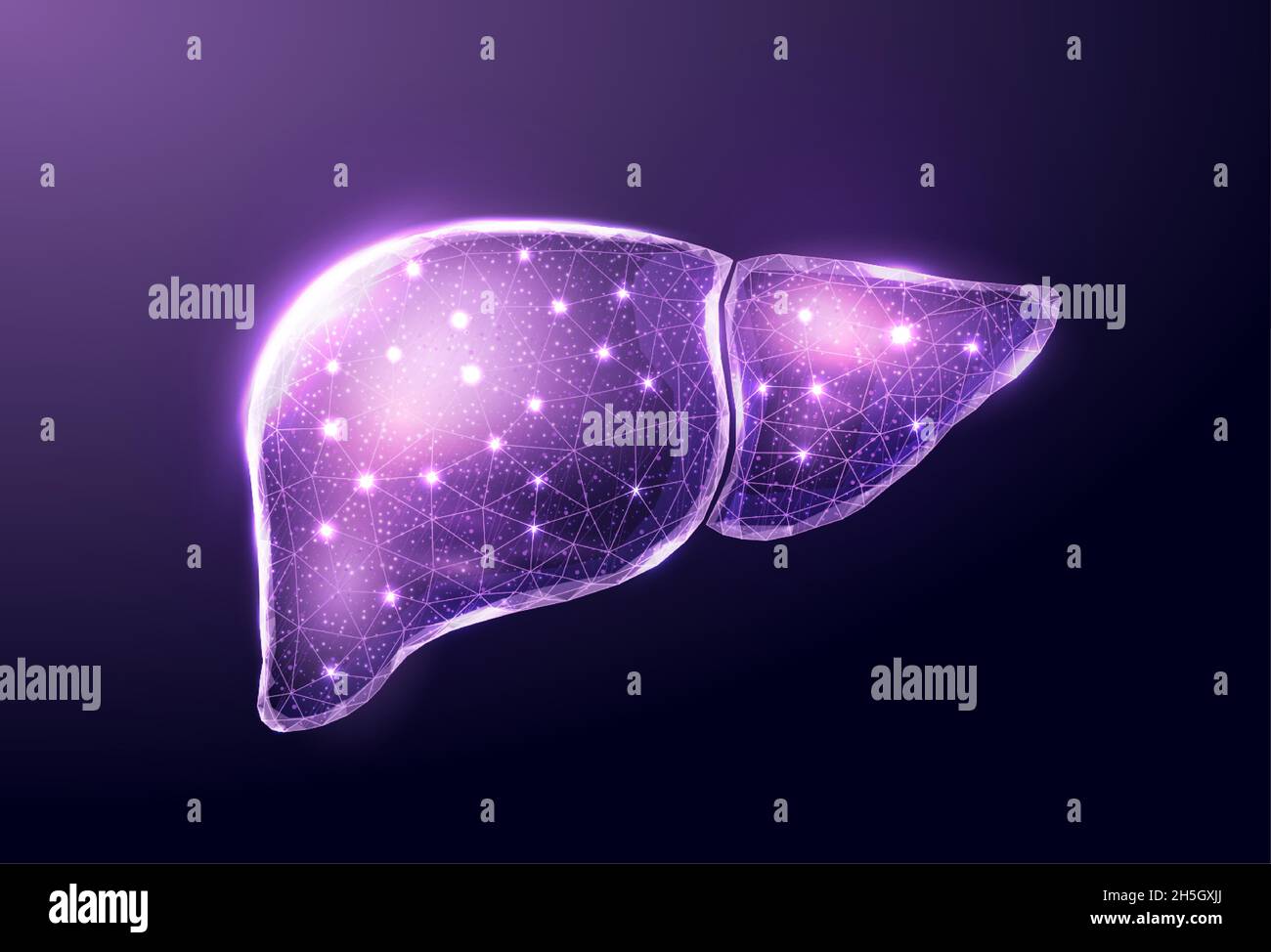 Human purple liver. Wireframe low poly style. Concept for medical ...