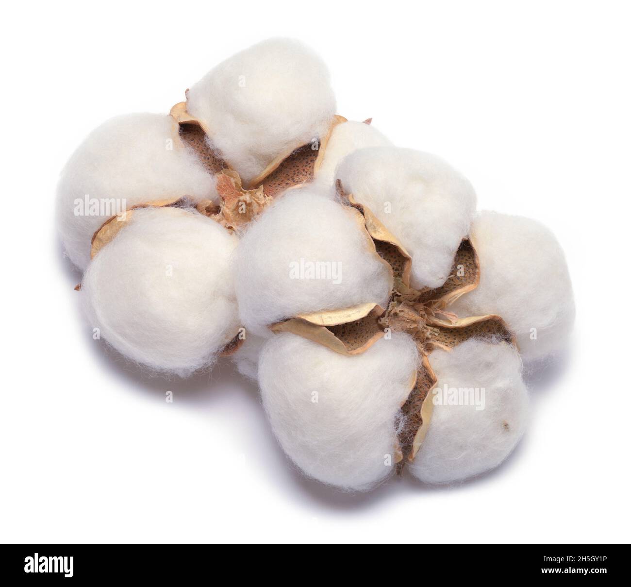 Two natural hi-res stock photography and images - Alamy