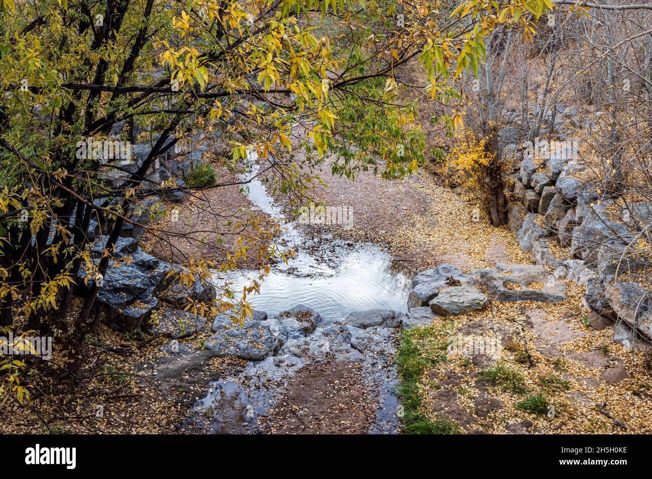 Alongside small plants hi-res stock photography and images - Alamy