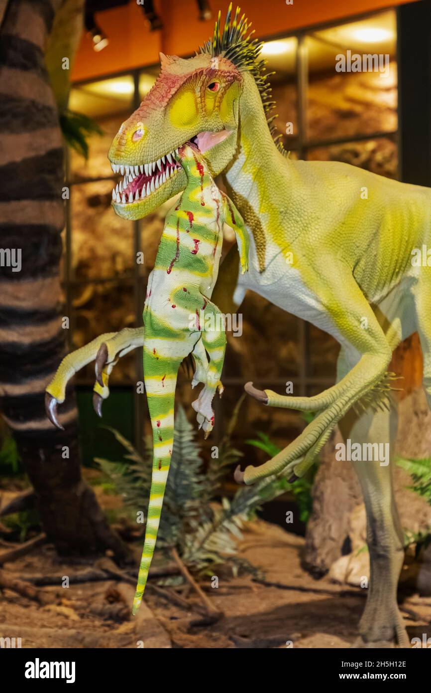 England, Isle of Wight, Sandown, Dinosaur Isle Museum, Model of a ...
