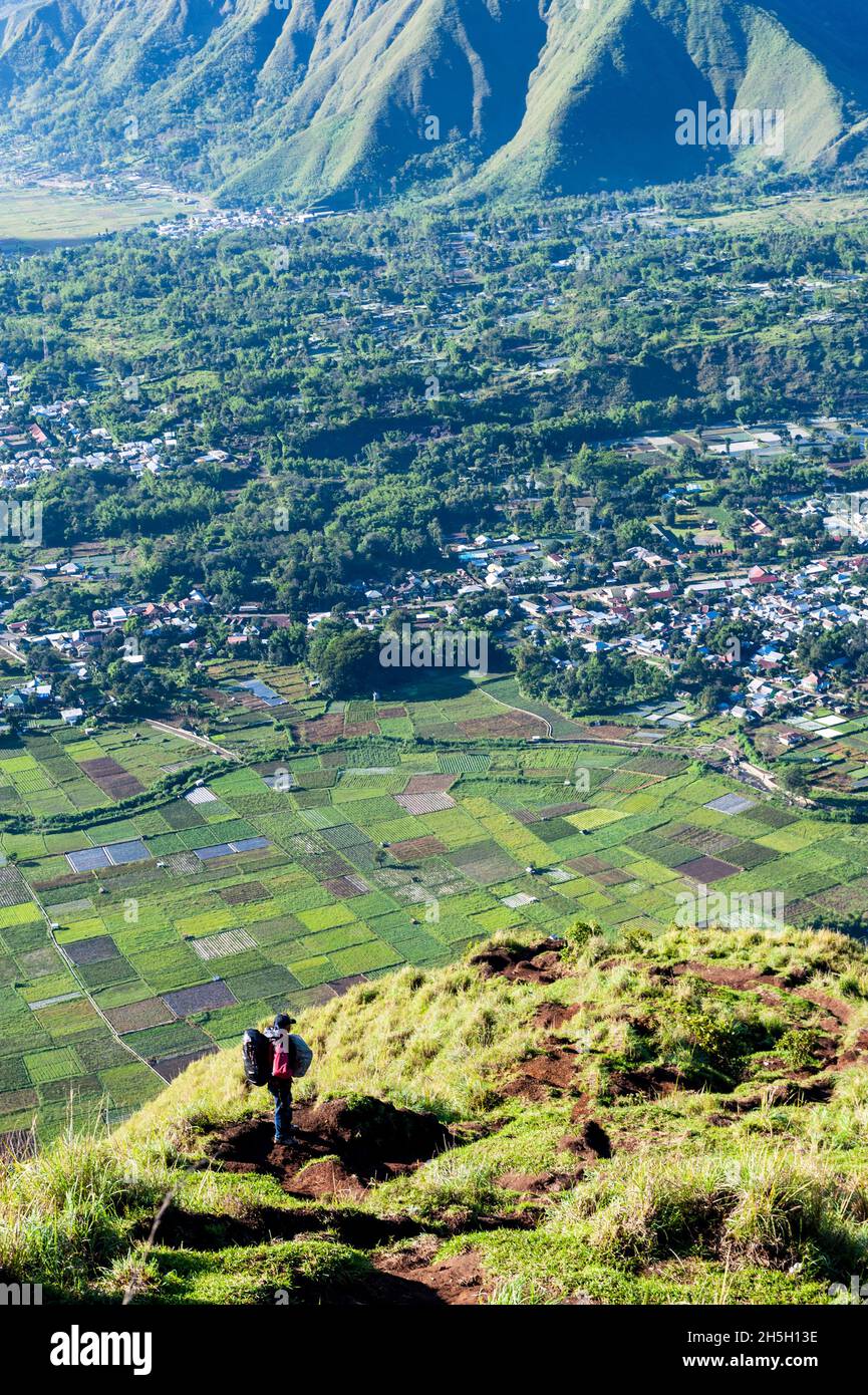 The path to Bukit pergasingan ,sembalun,Lombok,Indonesia Stock Photo ...