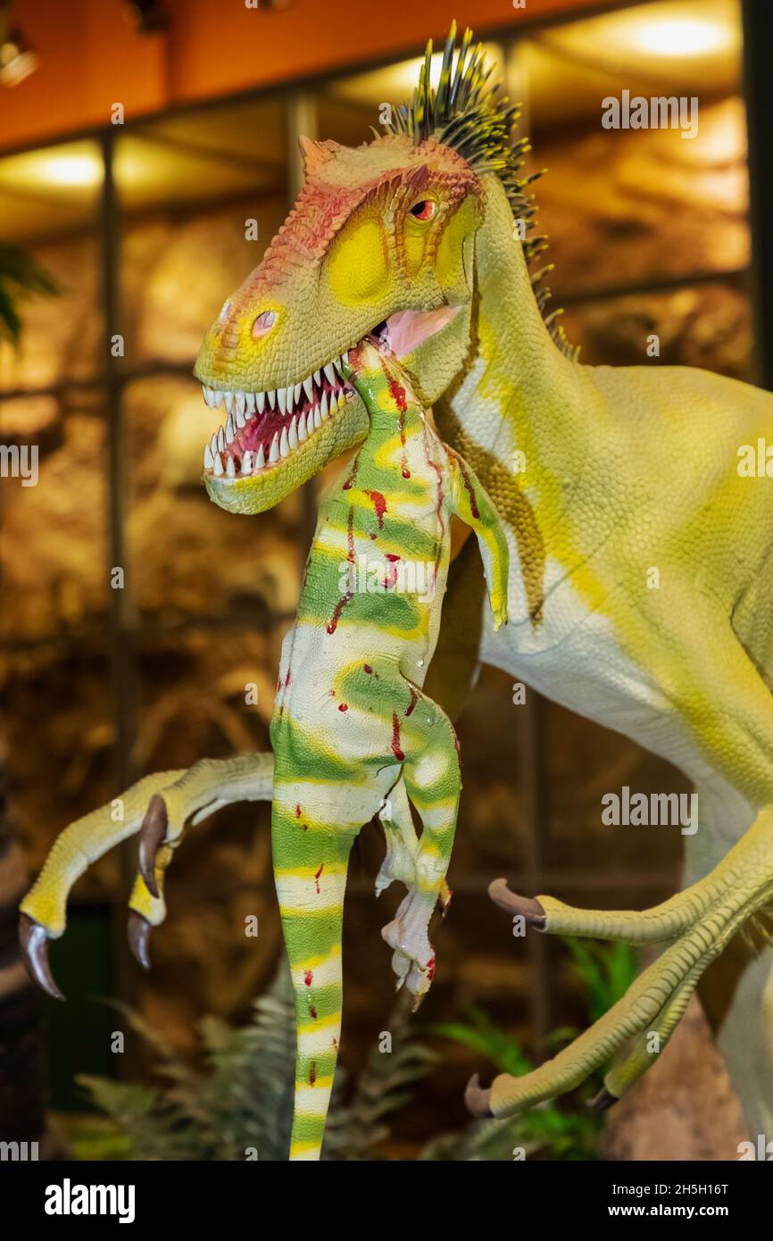 England, Isle of Wight, Sandown, Dinosaur Isle Museum, Model of a ...