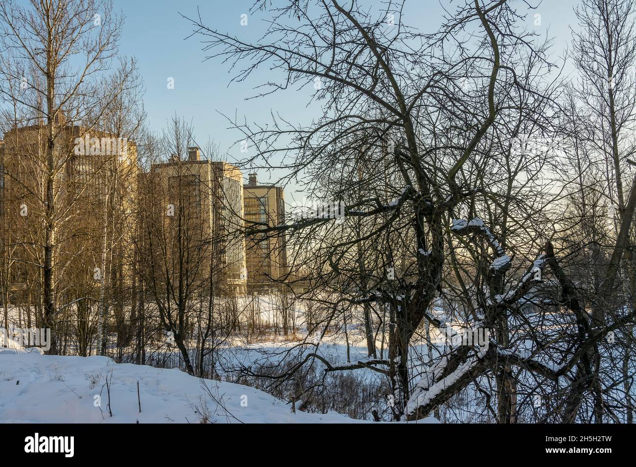 Remains of old wooden houses in the village of Ust-Slavyanka in the area of the construction of ...