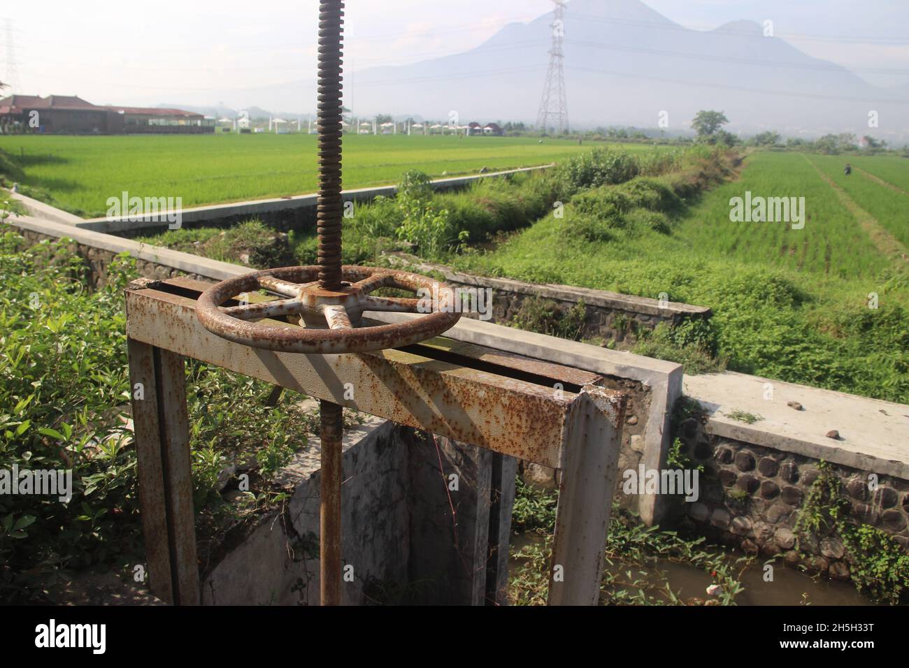 Green rice terraces East Java, Indonesia. The view of the green rice ...