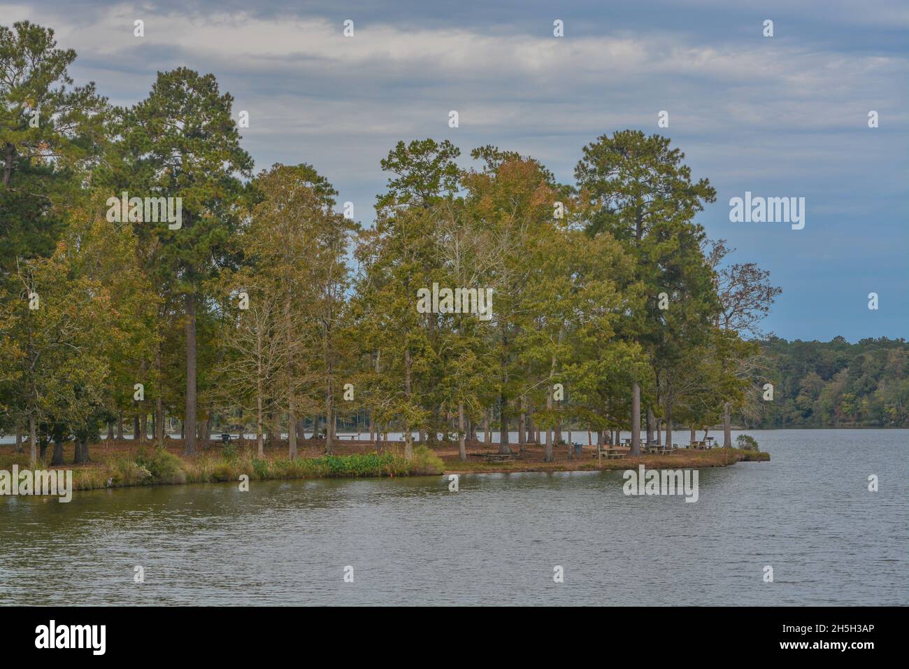 Beautiful Lake Lincoln State park has many recreational areas to enjoy ...