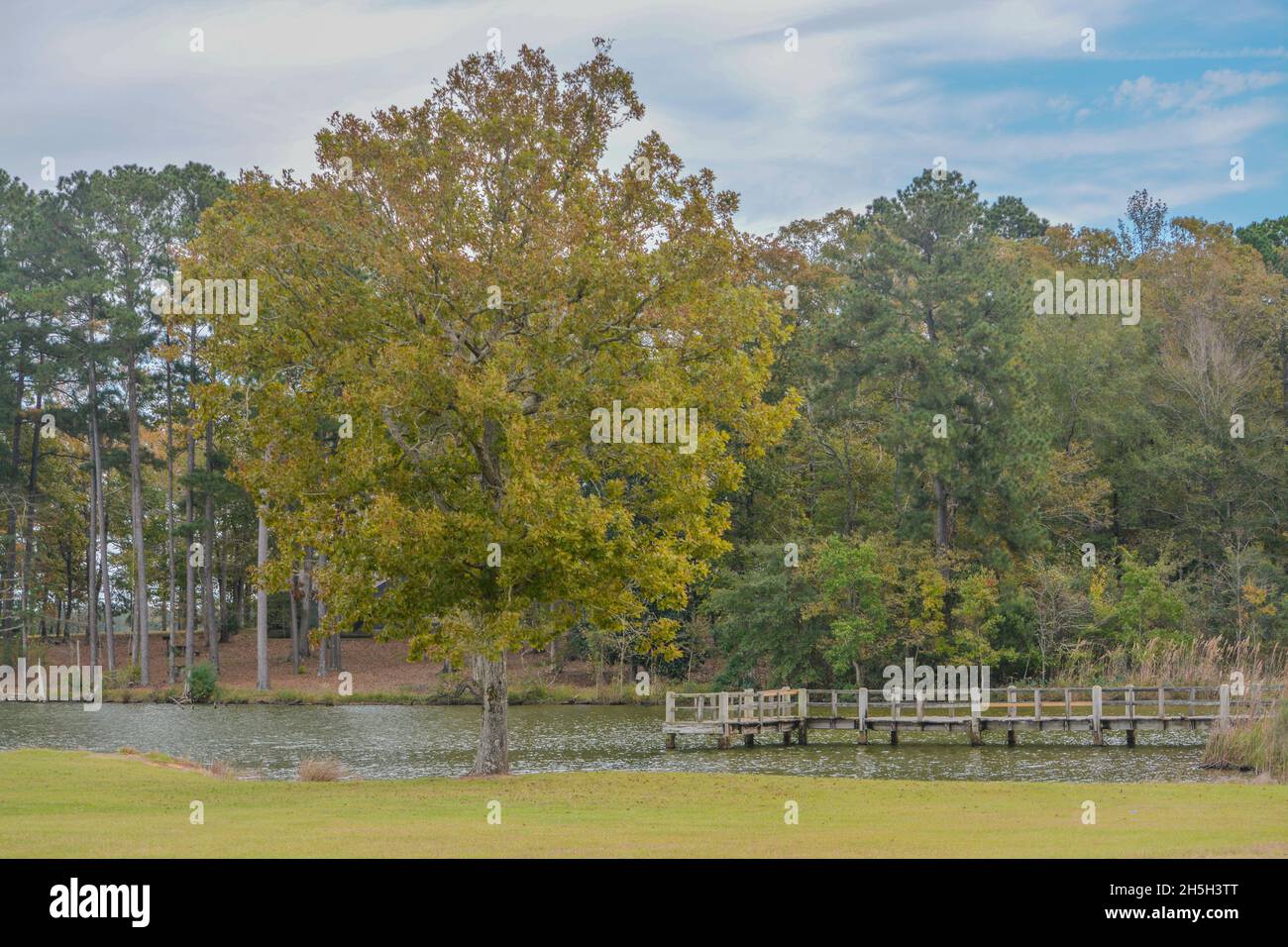 Beautiful Lake Lincoln State park has many recreational areas to enjoy ...
