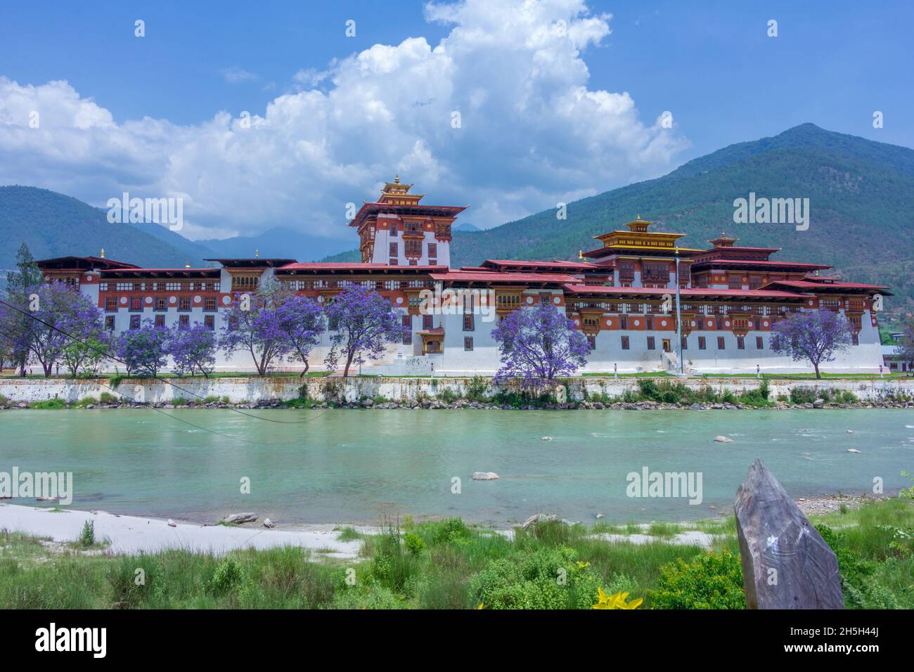 Punakha Dzong - Bhutan Stock Photo - Alamy