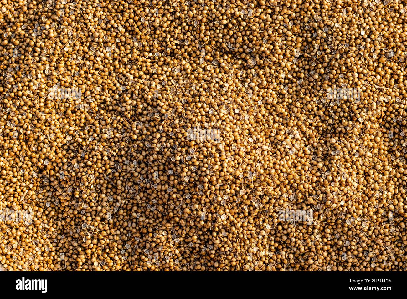Seeds drying under the sun hi-res stock photography and images - Alamy
