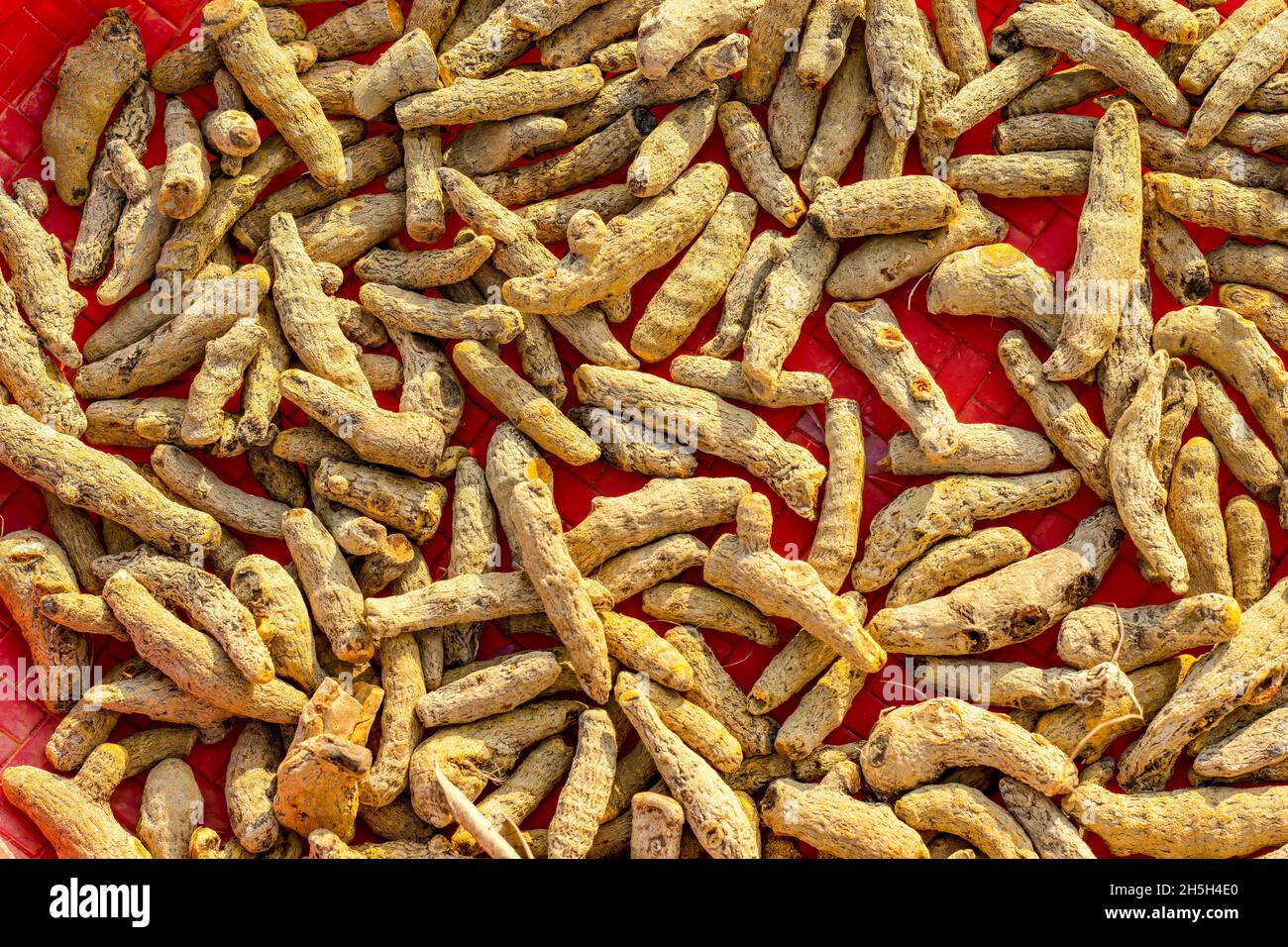 Yellow turmeric roots dried root hi-res stock photography and images ...