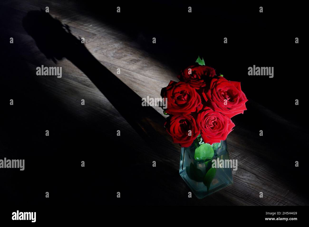 A bouquet of red roses lit by a small beam of sunlight Stock Photo - Alamy