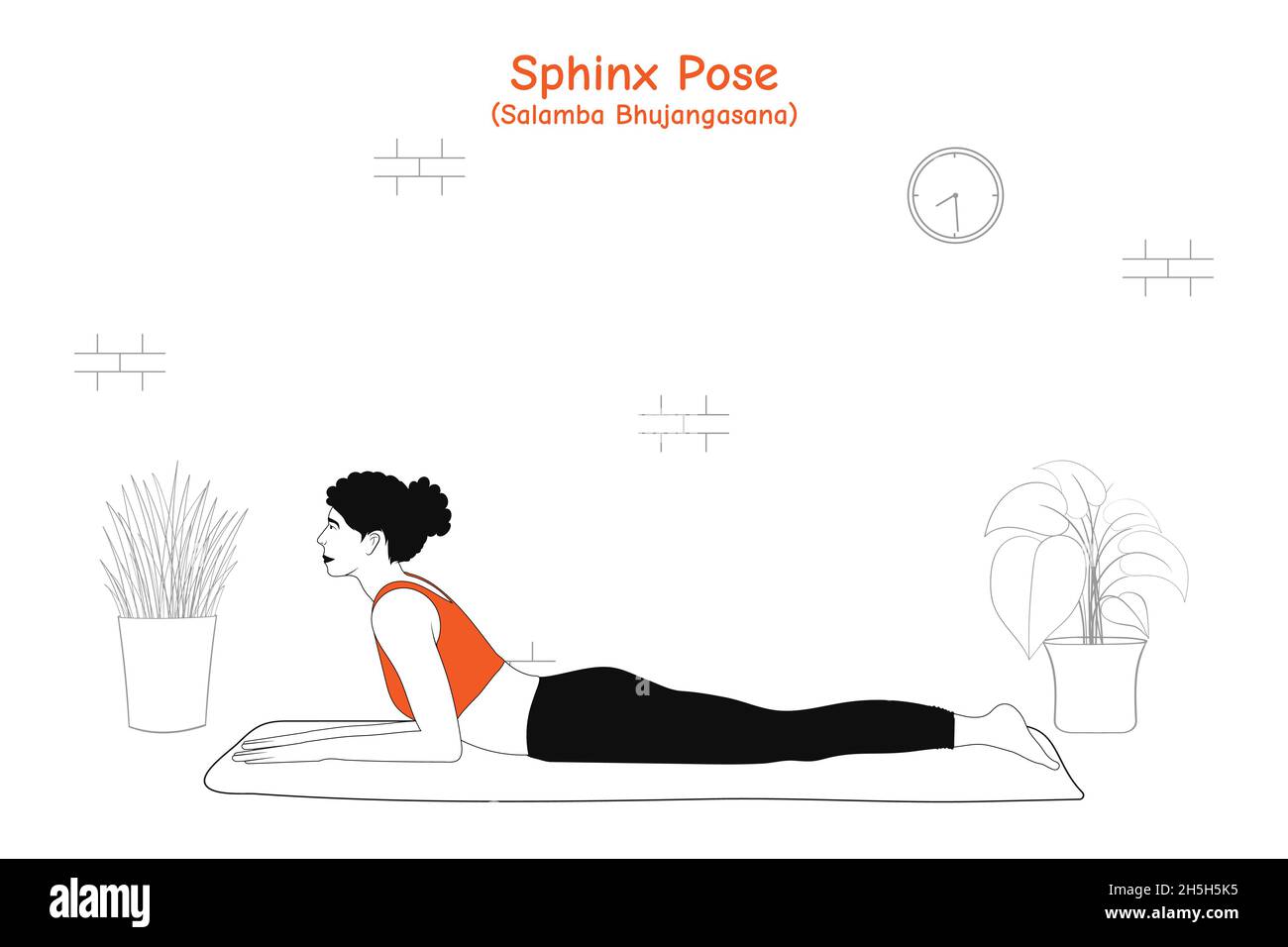 Bhujangasana vector vectors hi-res stock photography and images - Alamy