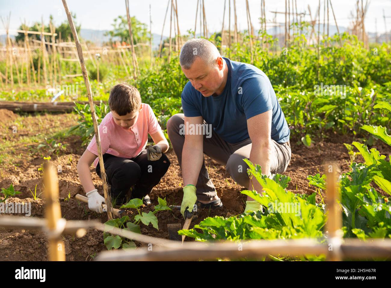 Father and tween son working together in family garden Stock Photo - Alamy