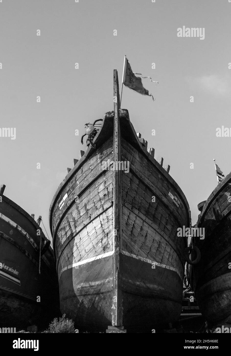 Mangrol hi-res stock photography and images - Alamy