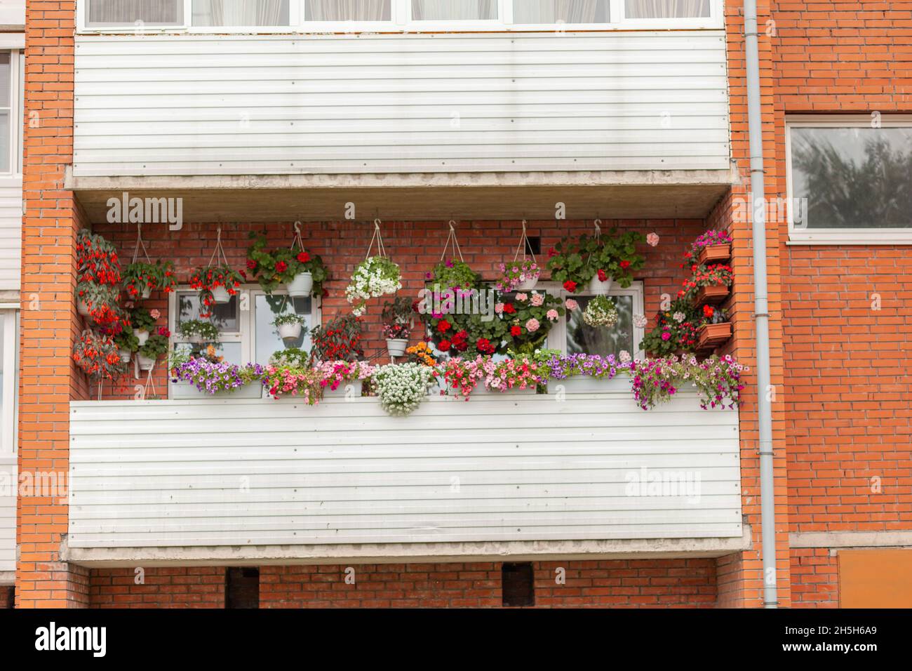 Breeding flowers hi-res stock photography and images - Alamy