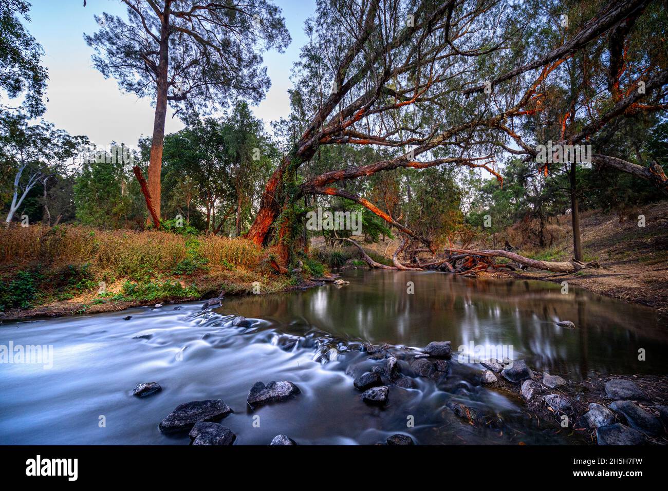 Fletcher Creek, Dalrymple National Park, Queensland Australia Stock ...
