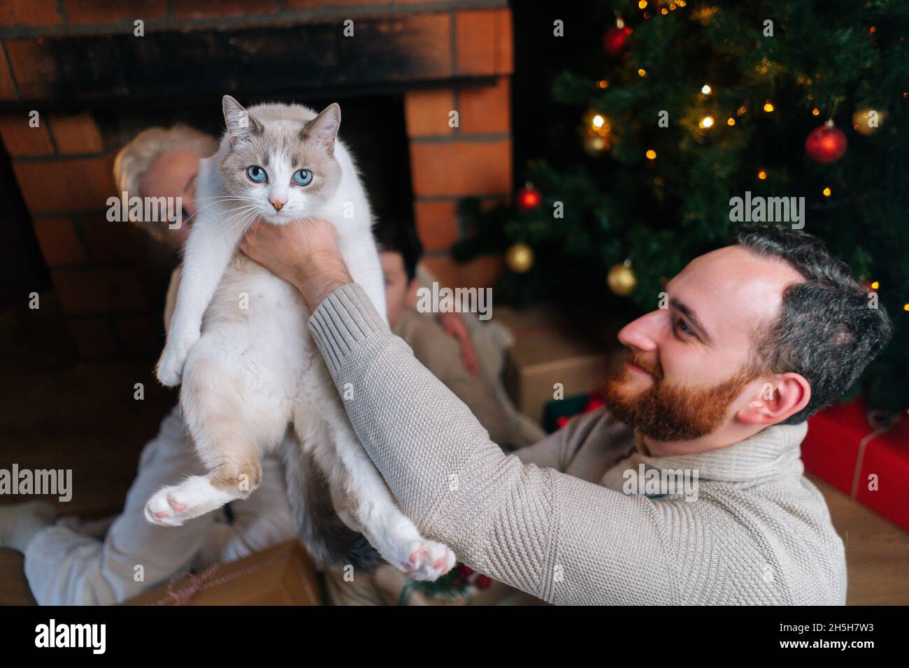 Young boy cat tree hi-res stock photography and images - Alamy