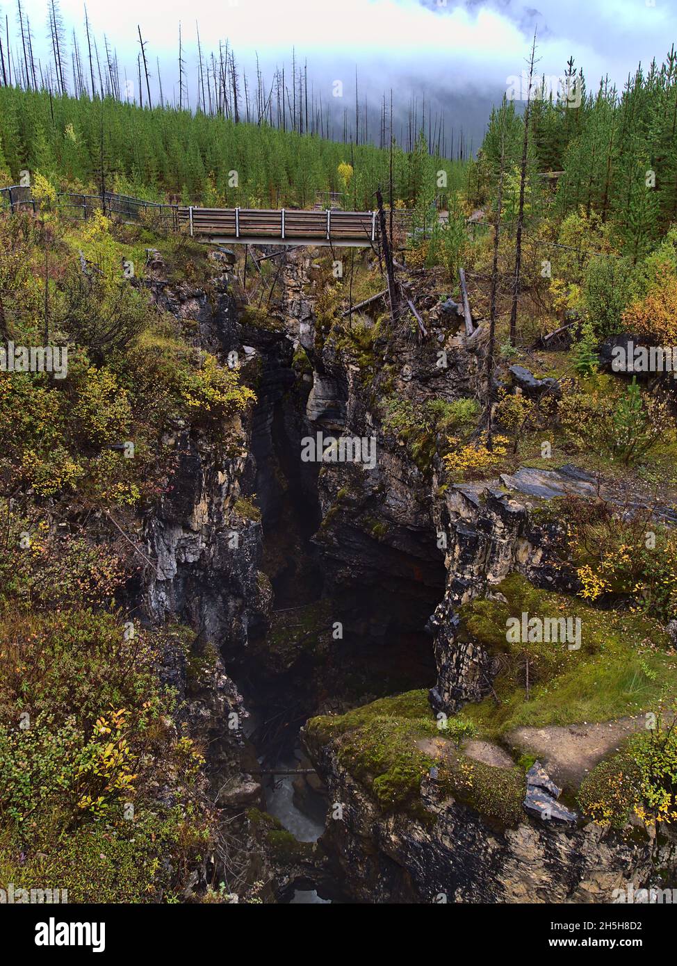 Stunning view of wooden footbridge spanning deep and narrow ravine at ...
