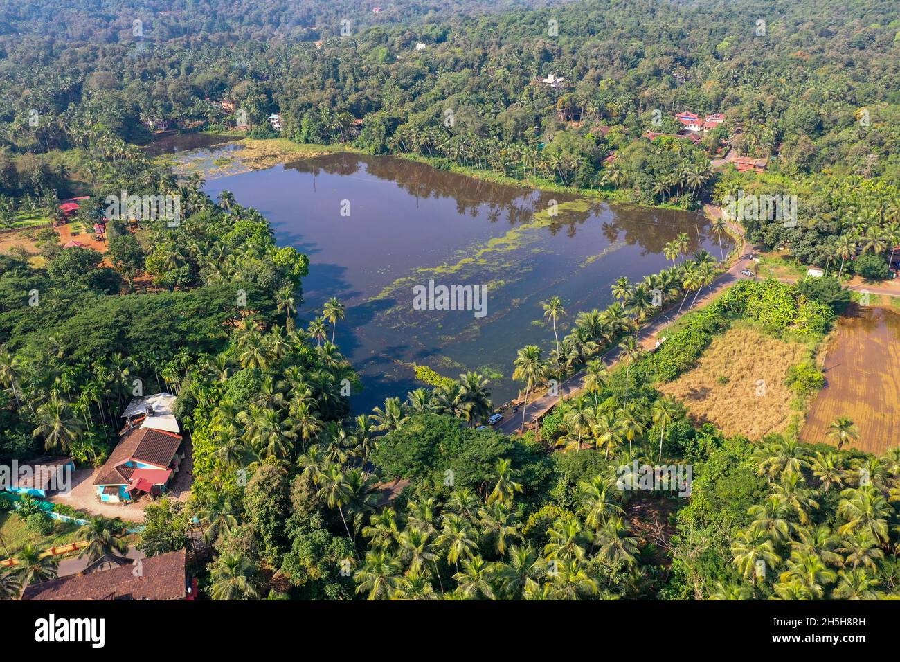 Goa vibes hi-res stock photography and images - Alamy