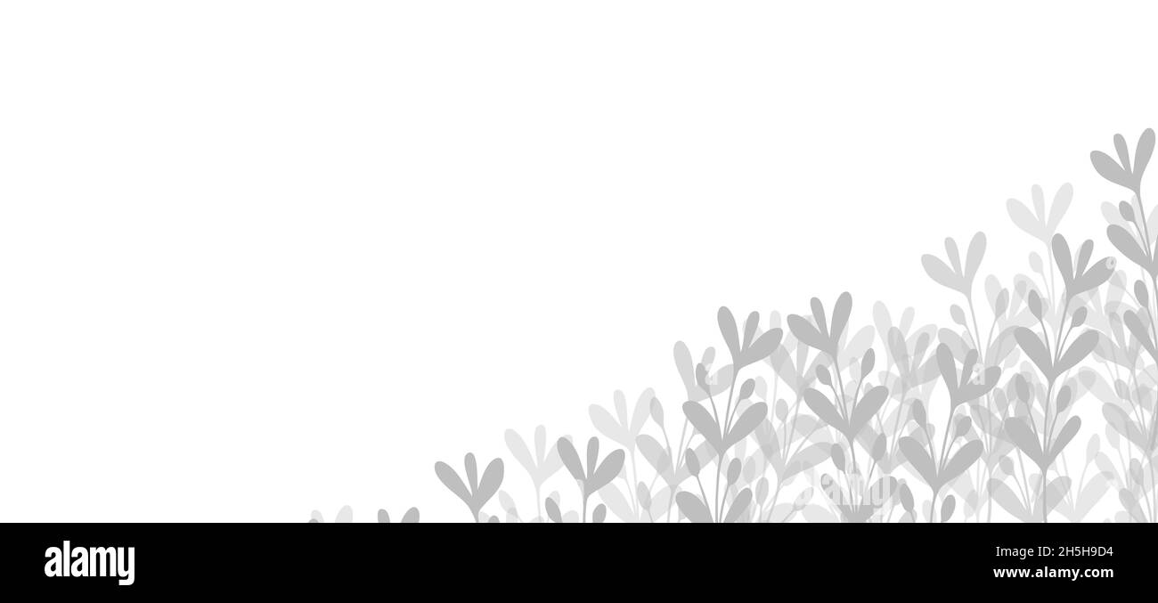 Floral web banner with drawn color exotic leaves. Nature concept design ...