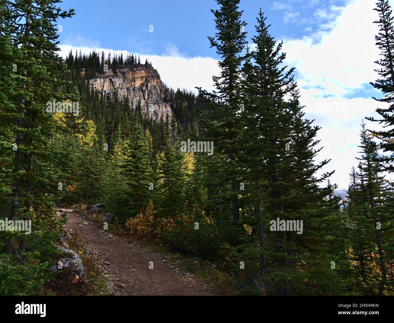 Little beehive banff national park hi-res stock photography and images ...