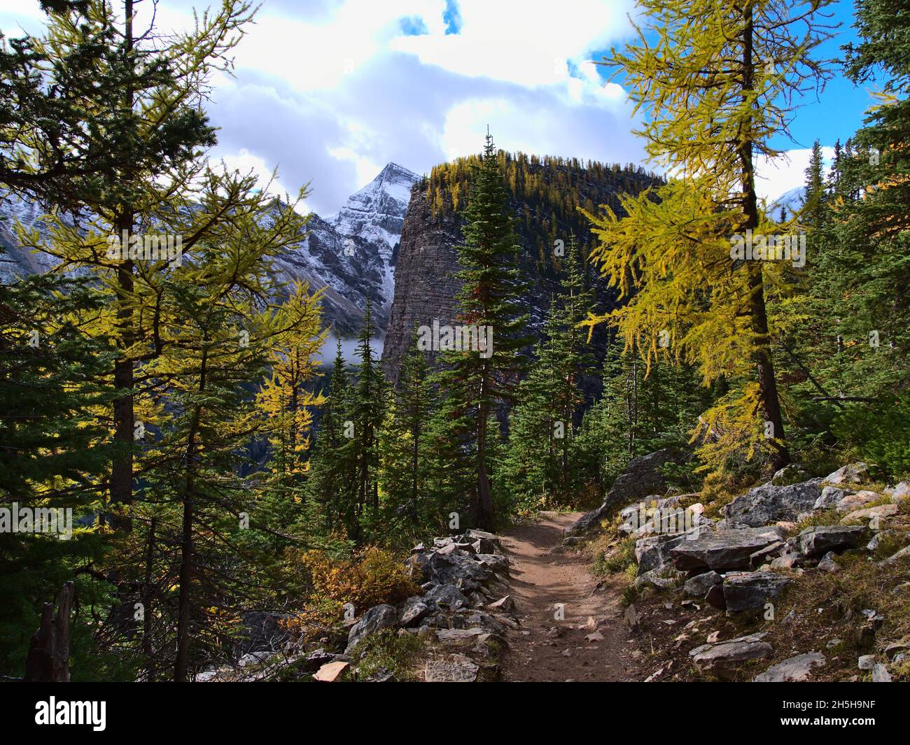 Hiking path in banff national park canada hi-res stock photography and ...