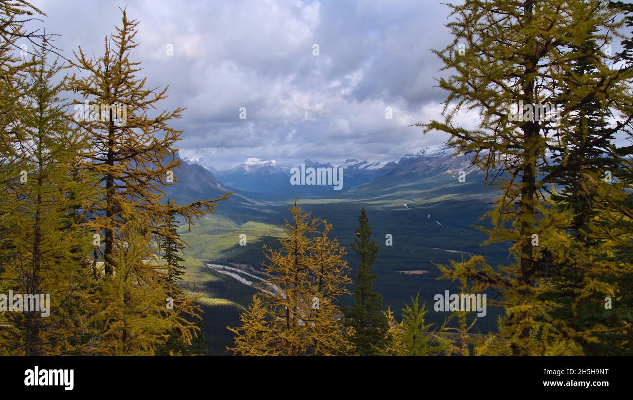 Little beehive banff national park hi-res stock photography and images ...