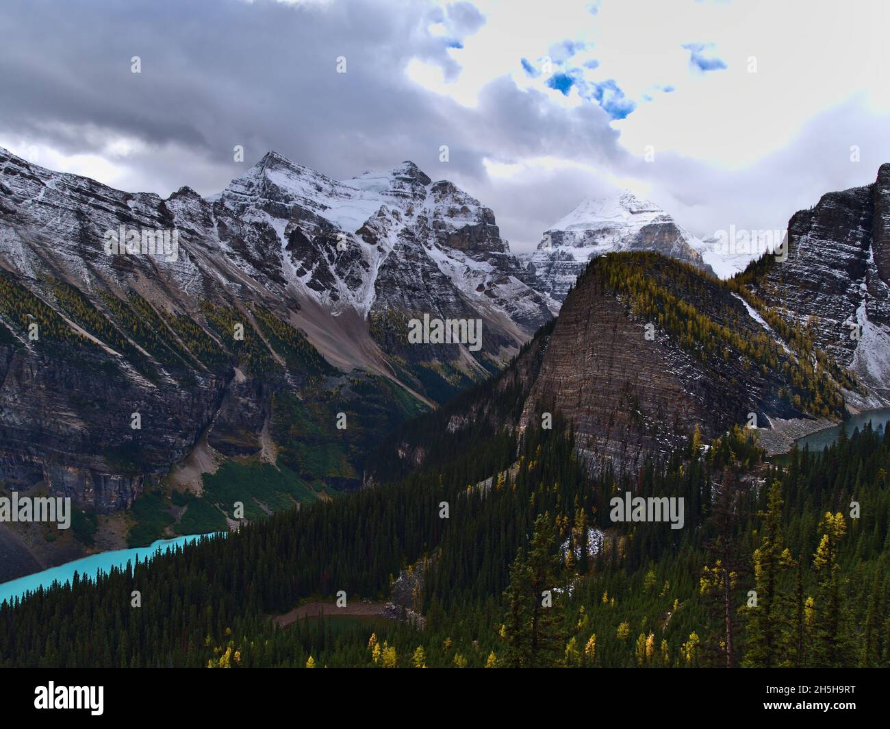 Beehive view hi-res stock photography and images - Alamy