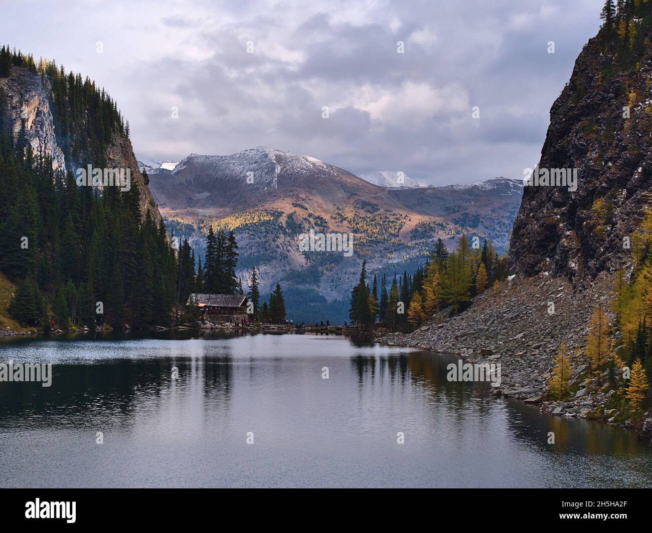 View of Lake Agnes in autumn with yellow colored larch trees and hikers ...