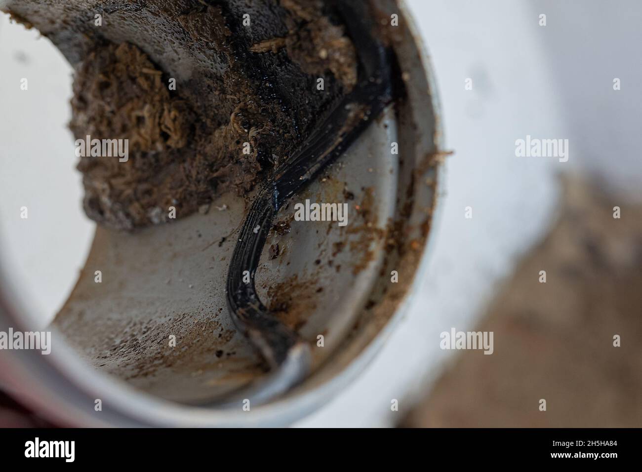 Crooked or wrinkled seal ring on a sewage pipe, a major problem for ...