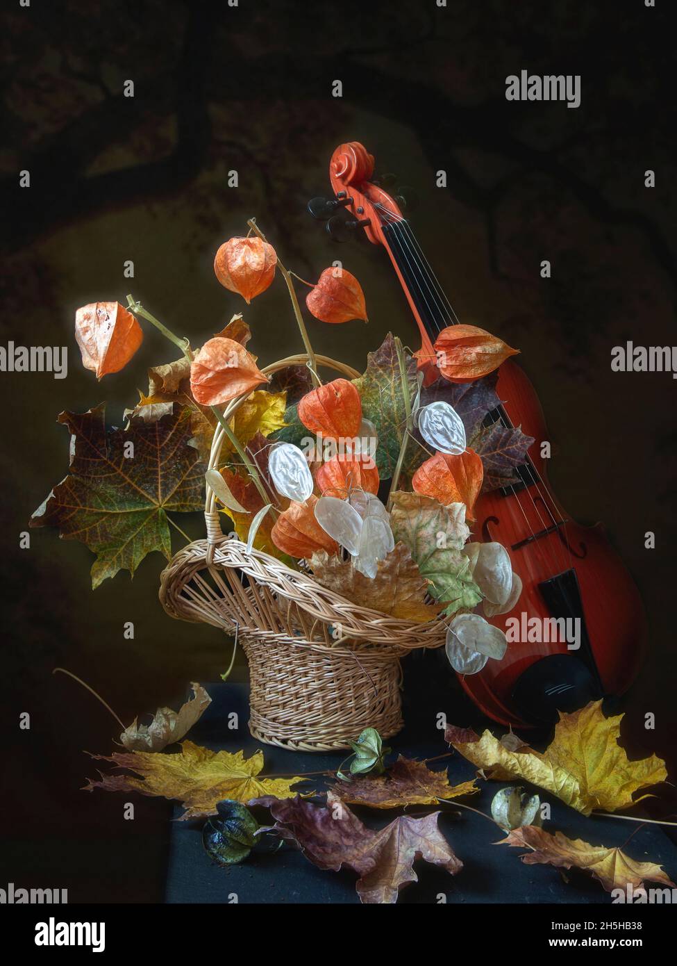 Arrangement of leaves hi-res stock photography and images - Alamy