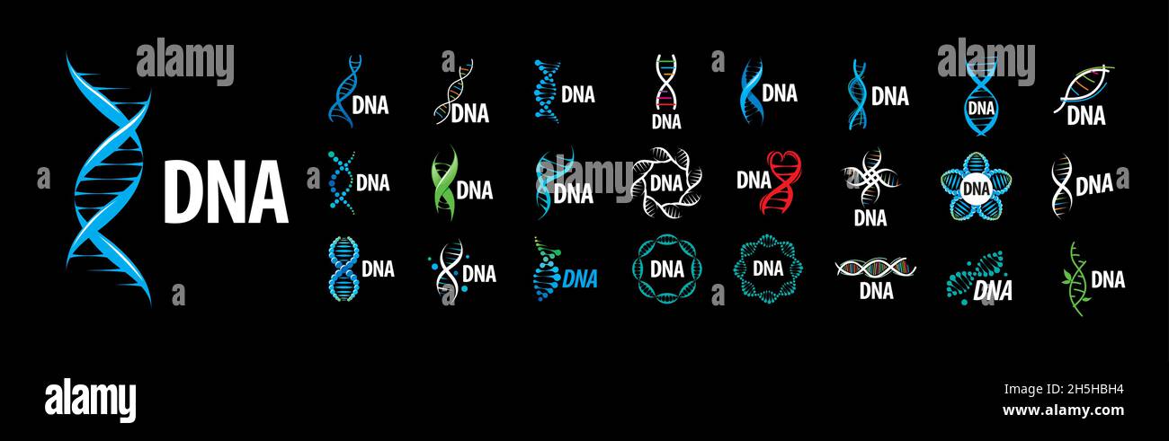 A set of vector DNA logos on a black background Stock Vector Image ...