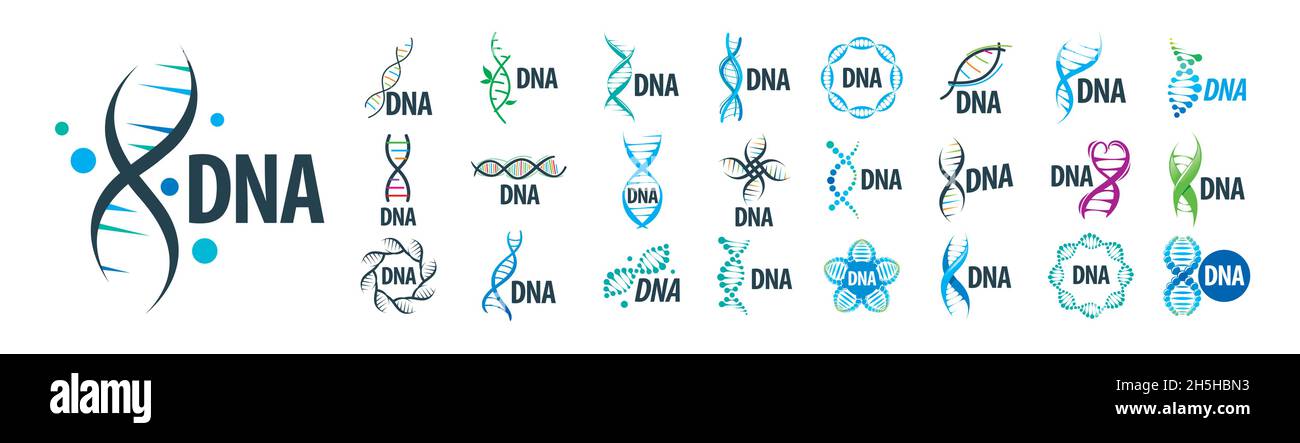 A set of vector DNA logos on a white background Stock Vector Image ...