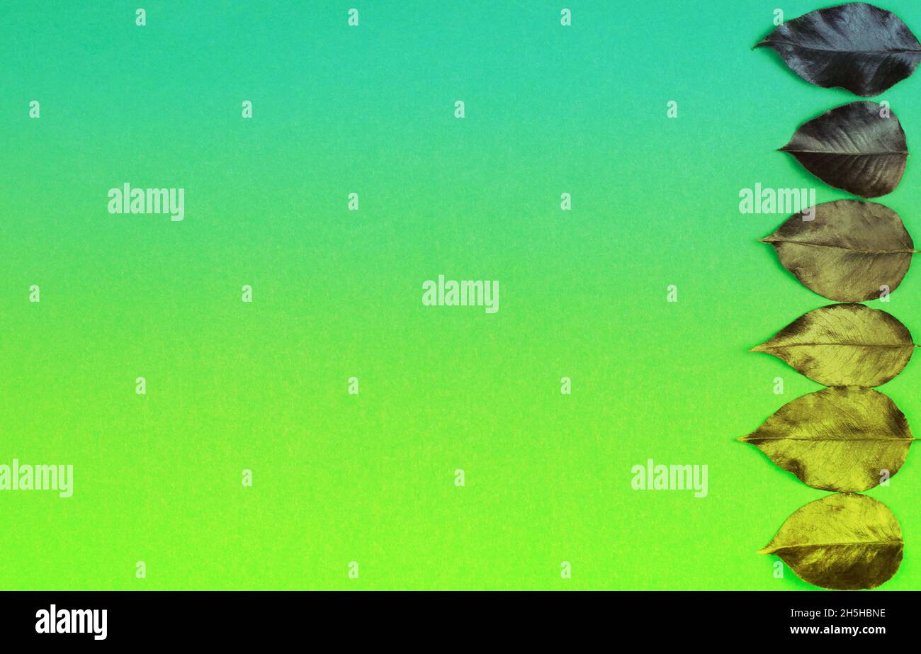 Colored gradient background with autumn leaves. Autumn background Stock ...