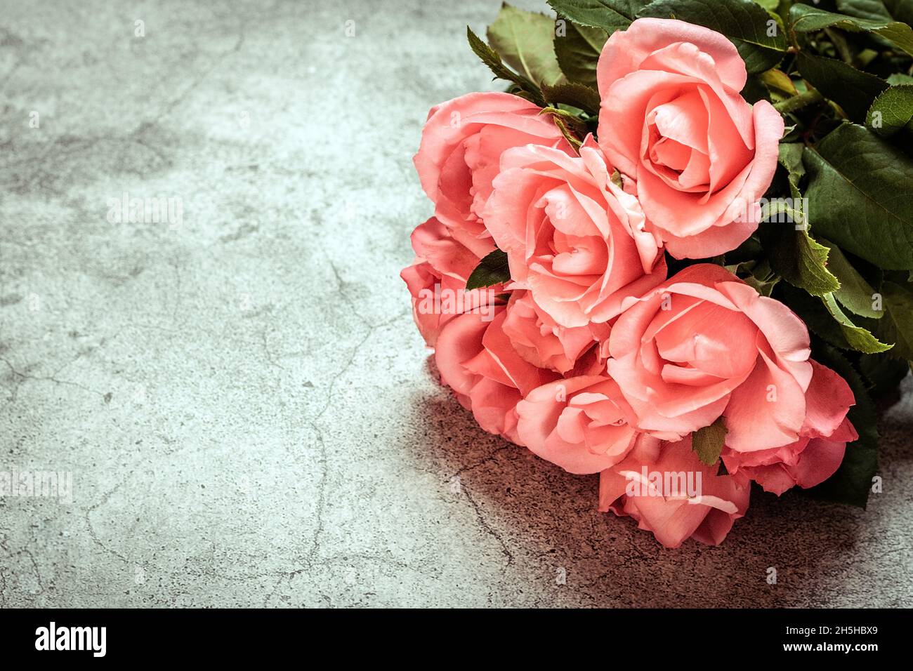 Beautiful pink roses flowers on concrete background mock up with copy ...