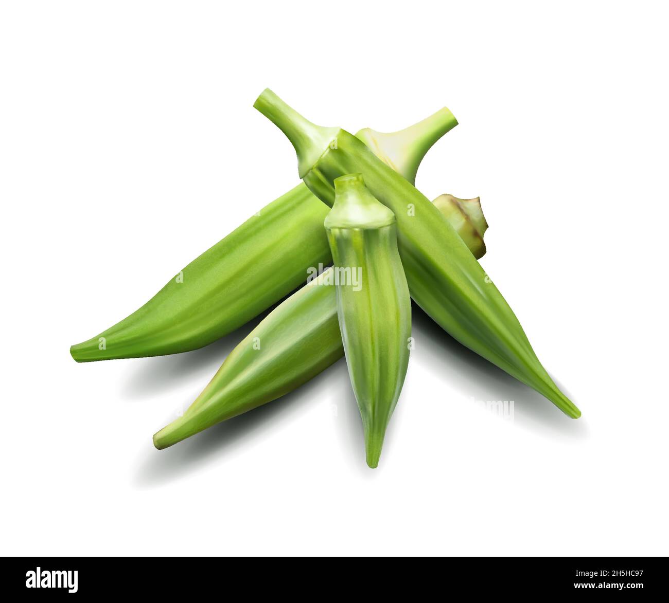 Fresh young okra isolated on white background. Quality realistic vector ...