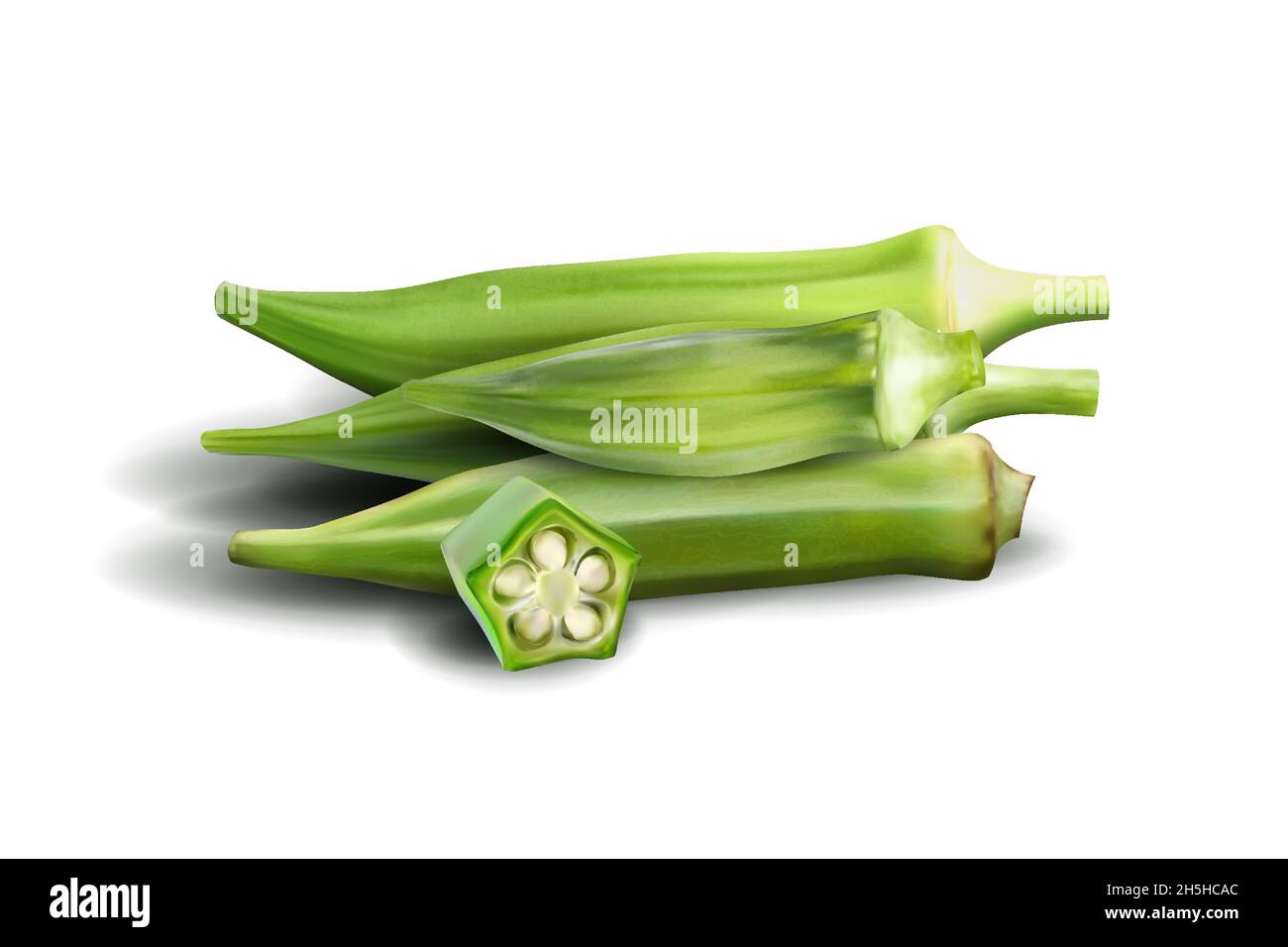 Fresh young okra isolated on white background. Quality realistic vector ...