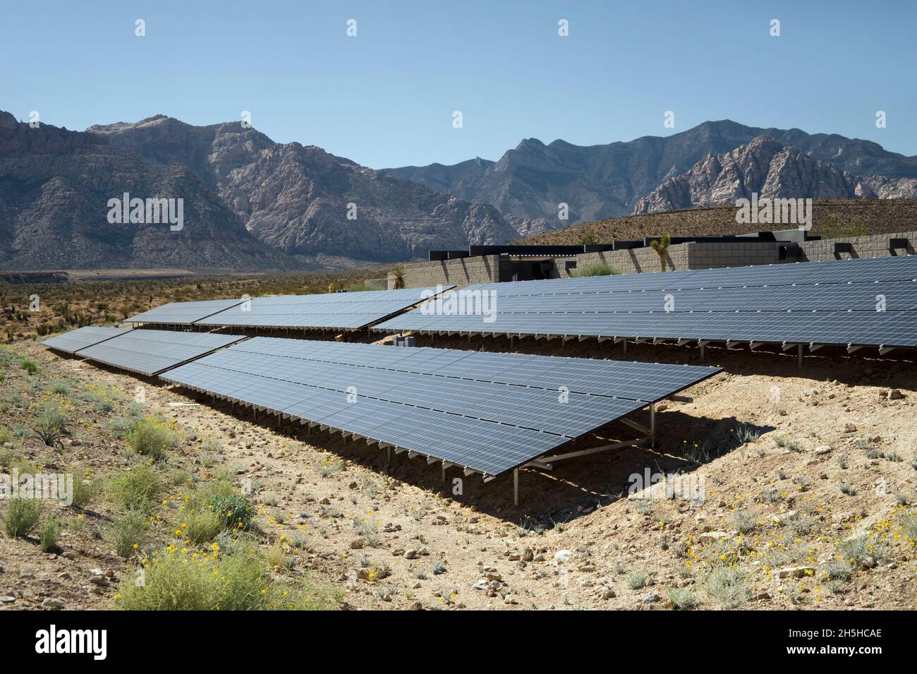 Saving the desert hi-res stock photography and images - Alamy