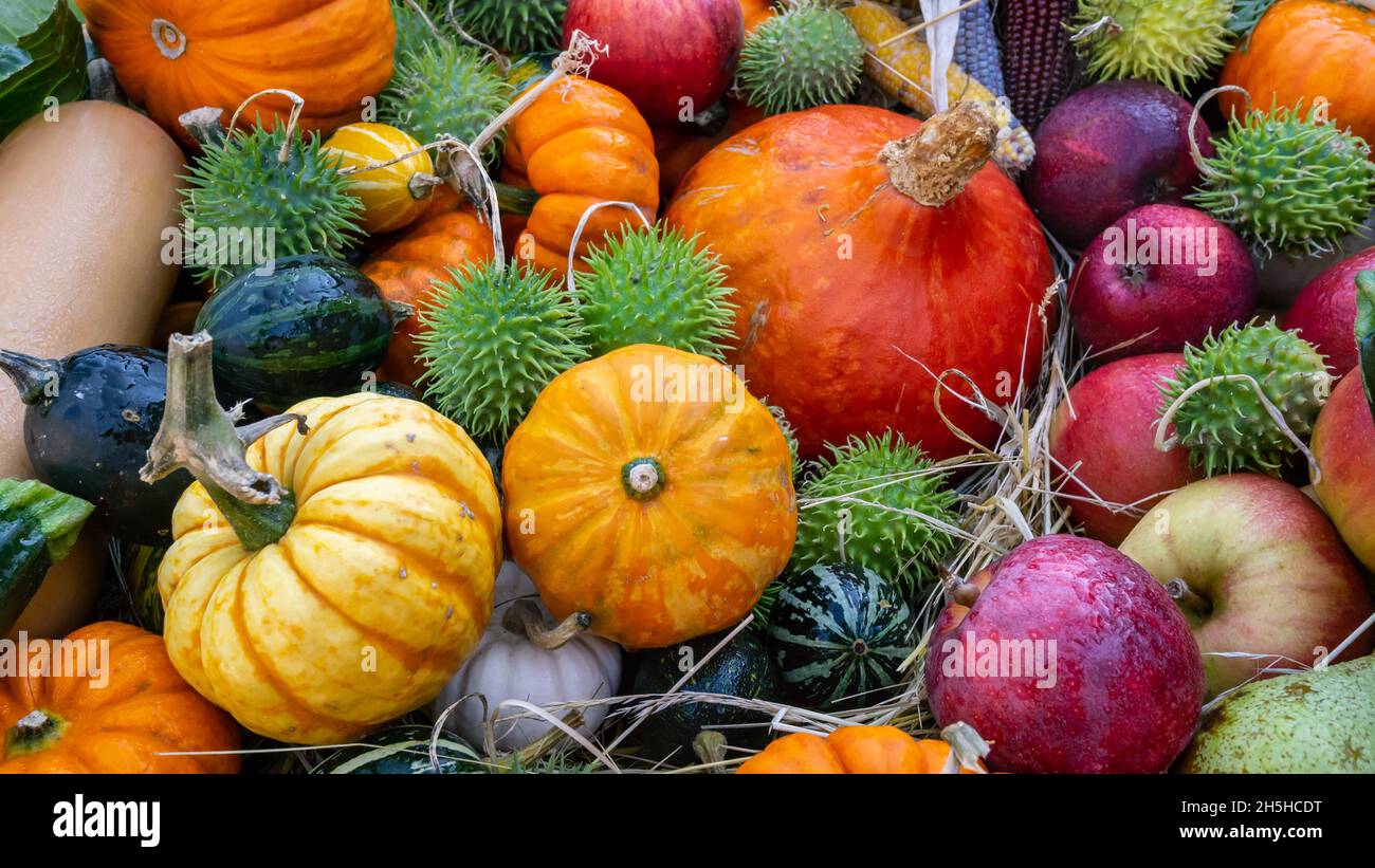 Pumpkins, vegetables, fruits, apples, chestnut on display on a local ...
